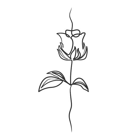 연속 라인 아트 드로잉 스타일의 장미 꽃 프리미엄 벡터