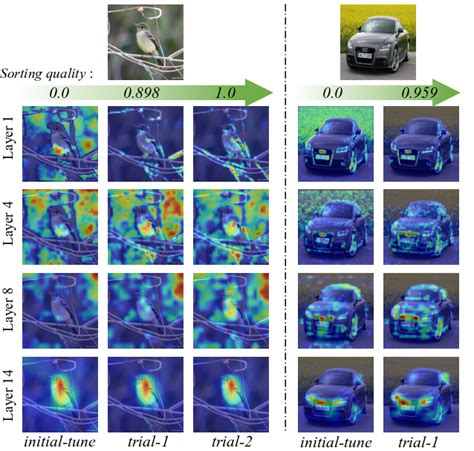 the class activation map cam visualization of the last layers by