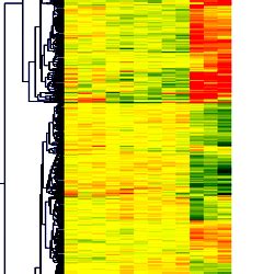 Hierarchical Clustering HCL