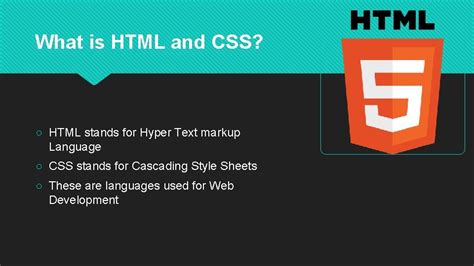 Intro To Web Design The Basics Of Coding