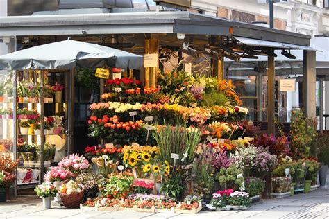 Florist Vienna Flowers - Free photo on Pixabay - Pixabay