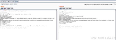 Ctfshow Web 78 88，web116 117 Wp Csdn博客