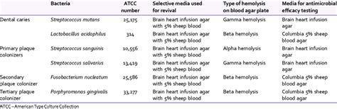 Details Of The Bacteria Used For Antimicrobial Efficacy Testing Download Table
