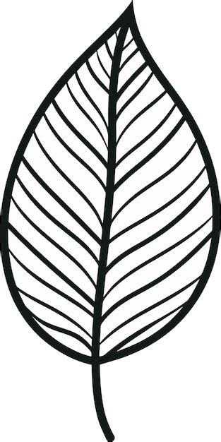 Premium Vector Seasonal Transitions Dynamic Leaf Vector NarrativesBotanical Dreams Surreal