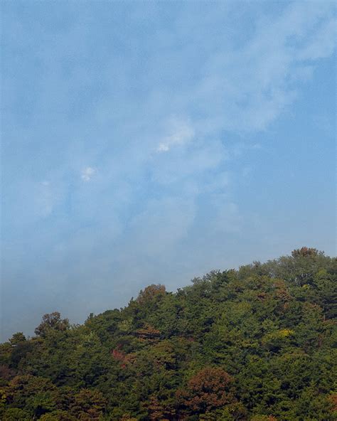 하늘채 공식 계정 늘 가까이에 산 강 숲 하늘은 길을 만들고 길은 풍경을 만들고 풍경은 자연이 됩니다 도시 속에서 자연을 가까이 두고 산다는 건 어쩌면