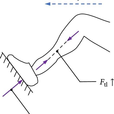 Collision Process And Movement Form Of Lower Limbs A Phase 1 B