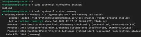 How To Set Up Local Dns With Dnsmasq On Debian 12