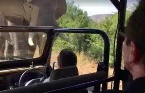 Arnold Schwarzenegger Takes On Poachers After Elephant Encounter In