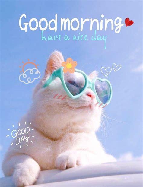 101 Good Morning Memes For Wishing A Beautiful Day To Him Her Artofit
