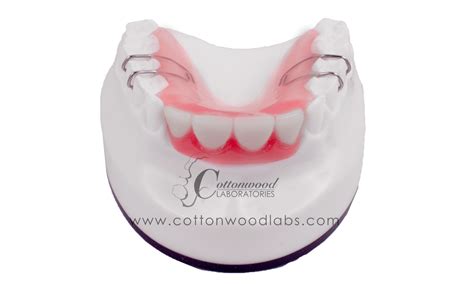 Cottonwood Labsflipper Cottonwood Labs