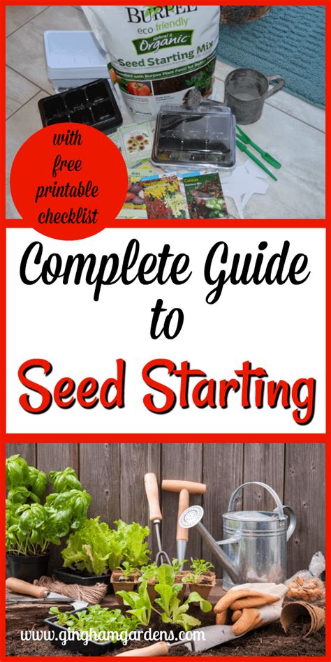 Seed Starting Indoors The Complete Guide Artofit