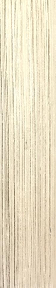 Line Of Business Mobile Apps With Flutter And Dart Newline