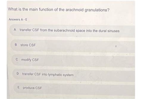 Solved What Is The Main Function Of The Arachnoid