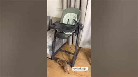 თაკო საზინა Shortsfeed Youtube