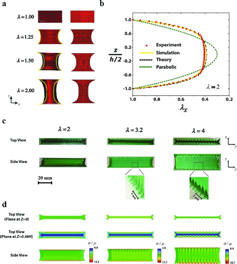 Experimental Simulation And Theoretical Results On The Deformation And