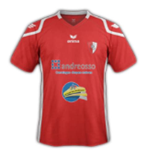 Camiseta Local Swift Hesperange 2016 17