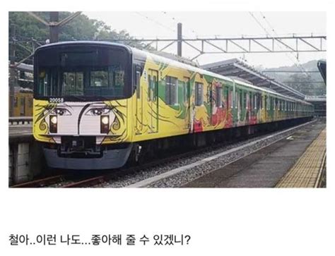 기계몸을 보여주는 메텔 에누리 쇼핑지식 자유게시판