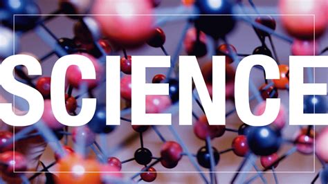 Mcq For Class 4 Science Friction As A Force