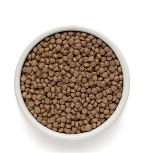 Корм для кошек купить на Ozon по низкой цене в Беларуси Минске Гомеле