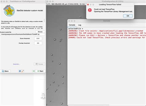 Trackmate Costum Stardist Model Keeps Crashing On Fiji Usage And Issues Imagesc Forum
