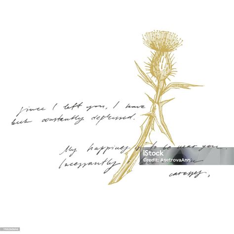 엉 겅 퀴 또는 데이지 꽃 식물 그림입니다 화장품 의학 치료 아로마 테라피 간호 패키지 디자인 필드 부케에 좋습니다 손으로 그린 야생 건초 꽃입니다 0명에 대한 스톡 벡터