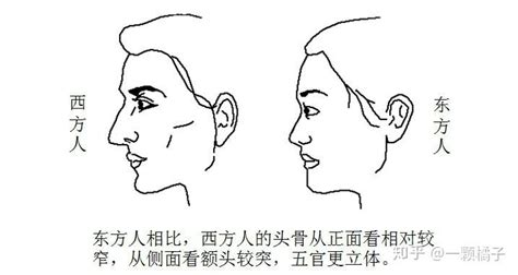 眉弓系列干货想使眼睛更深邃，眼部更立体？改善眉弓看这里！ 知乎