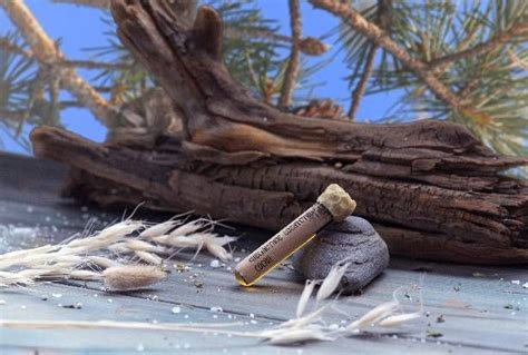 Магическое масло. Сосна | Erbe