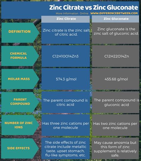 Zinc Citrate Structure At Jade Stainforth Blog