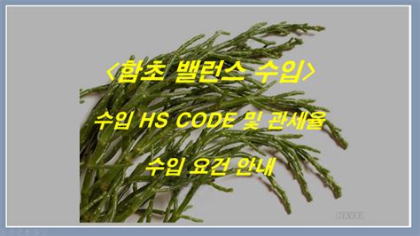 [부산 관세사] 건강기능식품 수입 함초밸런스 함초 퉁퉁마디 건강 조제 보조 식품 수입 시 Hs Code 및 관세율 수입 요건 안내 부산항 통관 부산 수출입