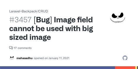 Bug Image Field Cannot Be Used With Big Sized Image · Issue 3457 · Laravel Backpackcrud · Github