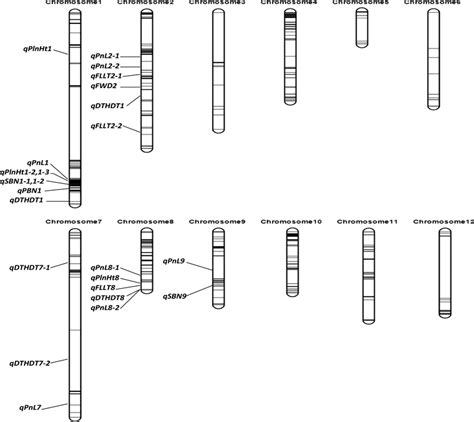 Genetic Linkage Map And Qtl Based On 832 Snp Markers In Lagrue × Lemont Download Scientific