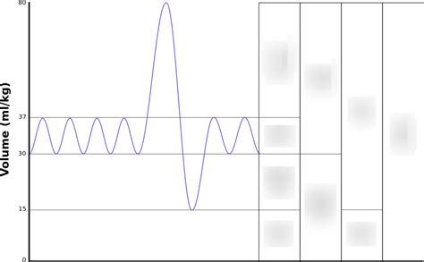 402 Final Exam Diagram Quizlet