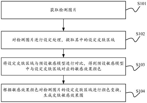 皮肤图像处理方法装置设备及系统与流程