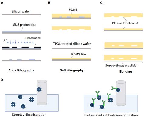 A Micropillar Array Based Microfluidic Device For Rare Cell Detection