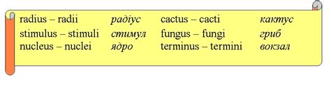 Граматика англійської мови уроки онлайн Урок 17 Множина латинських іменників