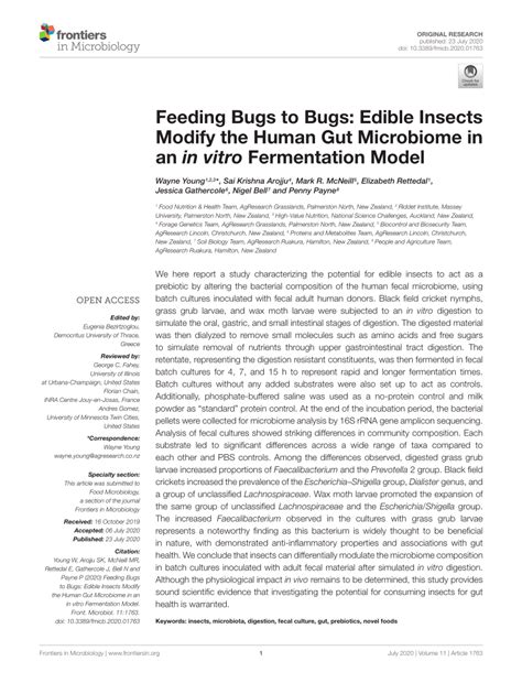 Pdf Feeding Bugs To Bugs Edible Insects Modify The Human Gut Microbiome In An In Vitro