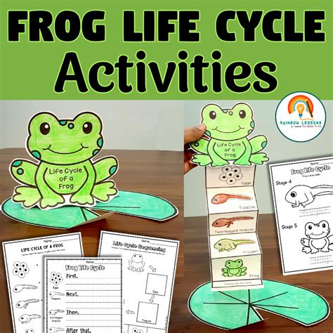 Frog Life Cycle Printable Puzzle Views From A Step Stool