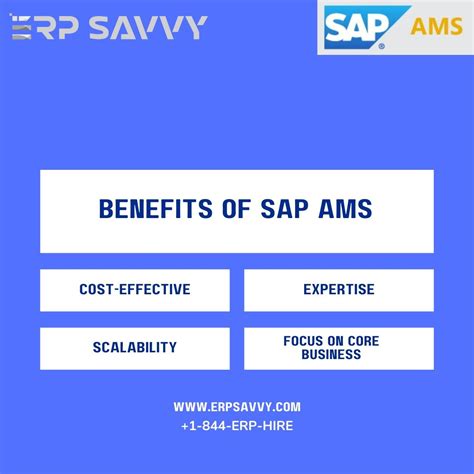 Learn About Sap Ams Benefits Erp Savvy Americas Sap Consulting Partner Posted On The Topic