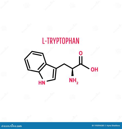 Tryptophan Skeletal Formula And Structure Vector Illustration On A White Background