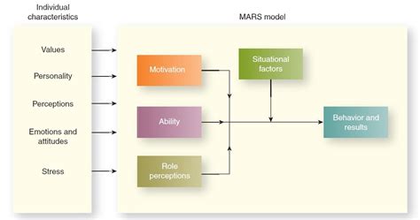 Individual Behaviour Personality And Values Diagram Quizlet