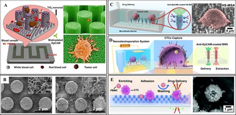 3d Micro Nanostructure Integrated Microfluidic Devices A Vertical