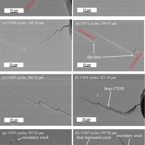 Set Up For Spring Rate Testing Of The Hydroformed Bellows Download