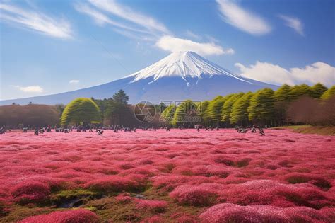 富士山下的美丽景观高清图片下载 正版图片600431083 摄图网