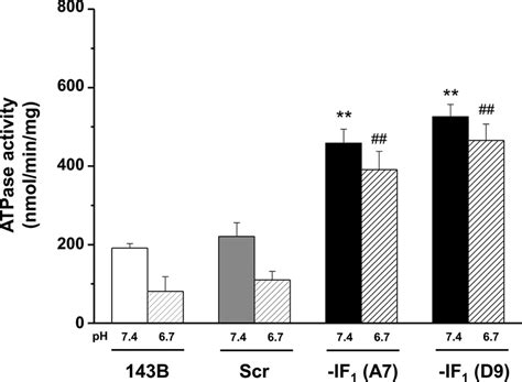 Oligomycin Sensitive Atp Hydrolysis Activity In If 1 Depleted Cells Download Scientific