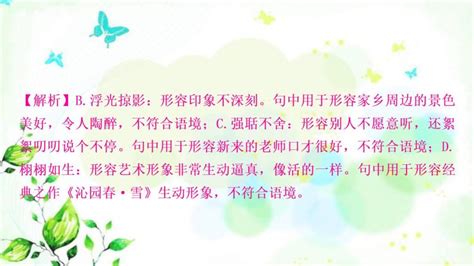 中考语文复习专题二词语的理解与运用作业课件 教习网课件下载