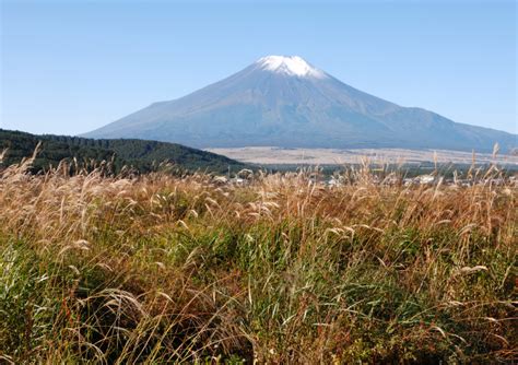 写楽三昧 紅葉と富士忍野村内野