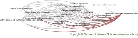 Supratentorial Primitive Neuroectodermal Tumor Disease Malacards Research Articles Drugs