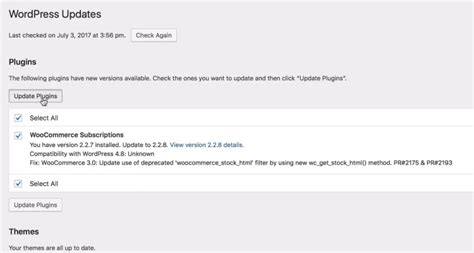How To Perform Woocommerce Update A Z Guide 2025