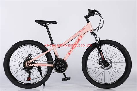 24 Inch Cheap Mtb Downhill Mountain Bicycle Mtb Mountain Bike