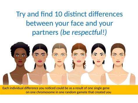 Inheritance A Complete Set Of Resources For Edexcel Igcse Biology Teaching Resources